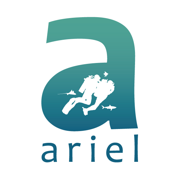 Ariel | Brands of the World™