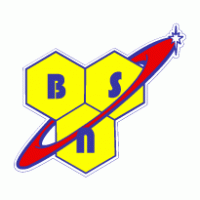 BSN | Brands of the World™ | Download vector logos and logotypes