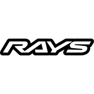 RAYS | Brands of the World™ | Download vector logos and logotypes